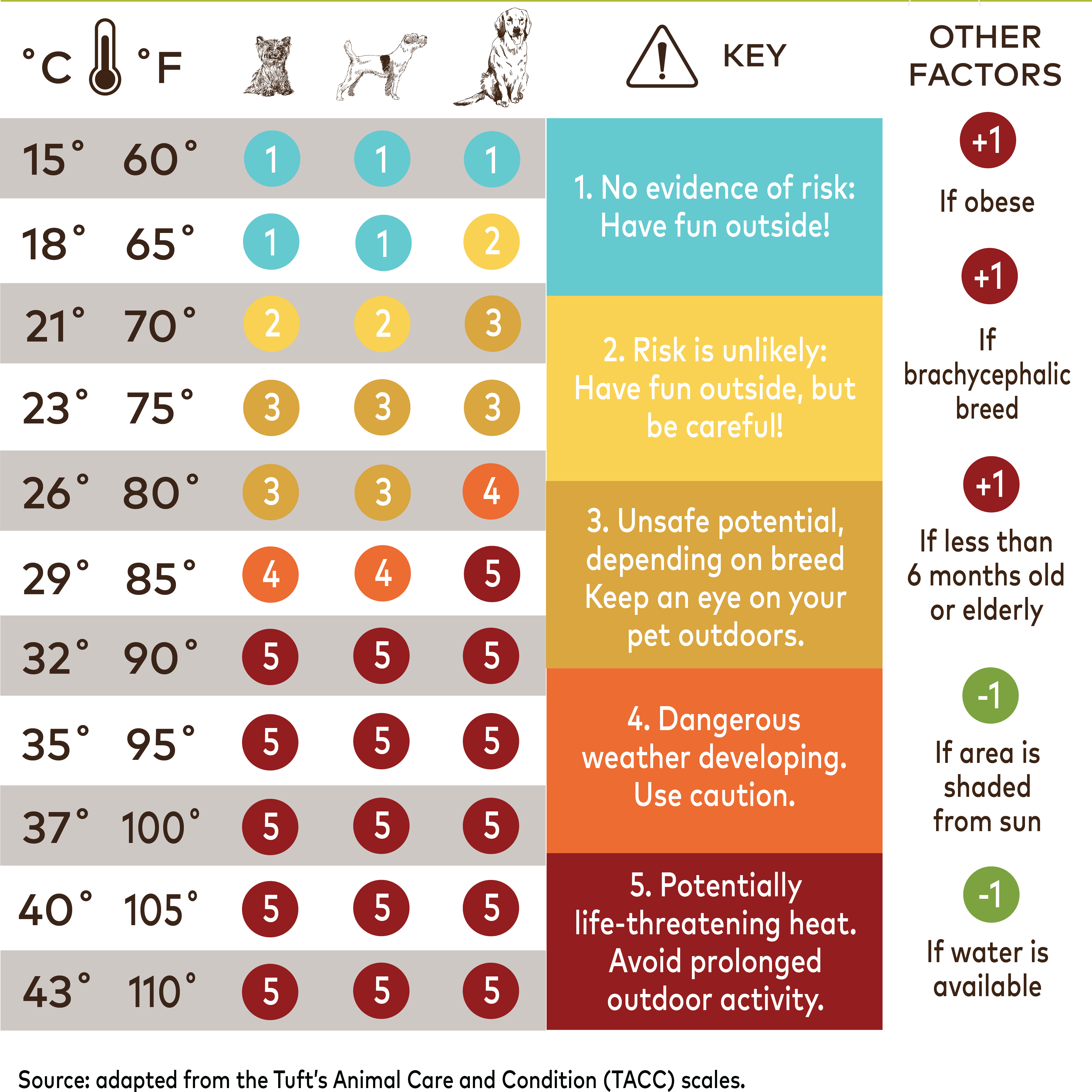 Beat the Heat! Overheating Dog Signs and Prevention